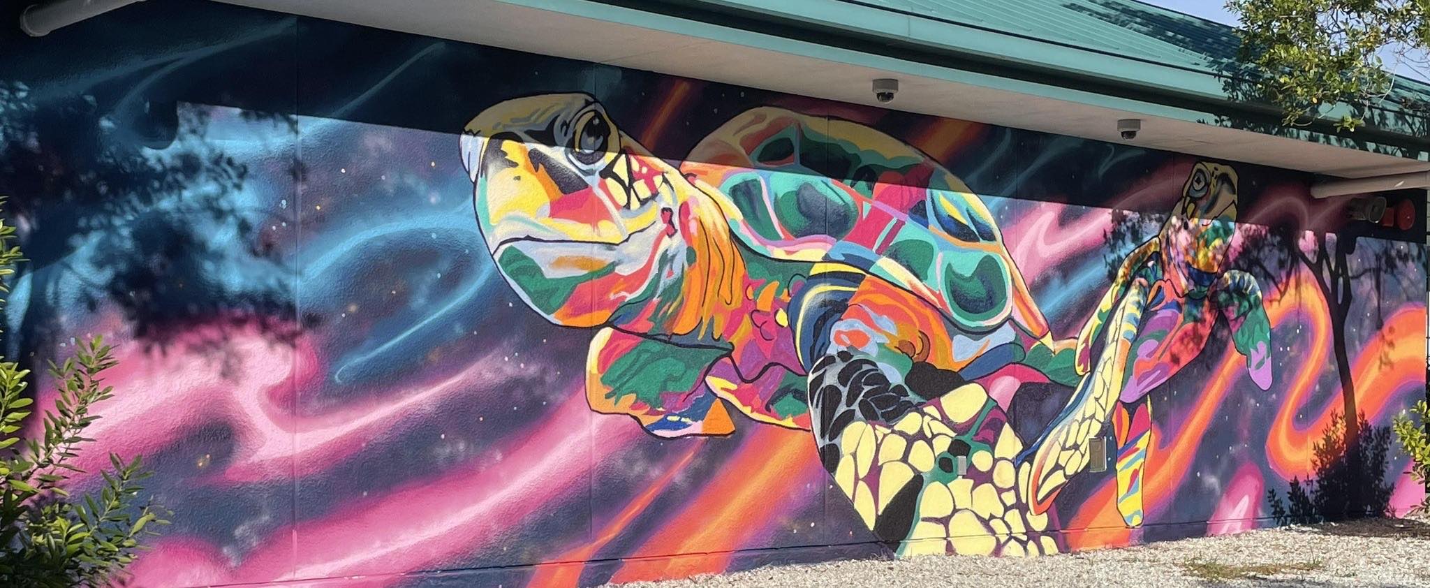 James B. Sanderlin IB World School PTSA – Make every child’s potential ...